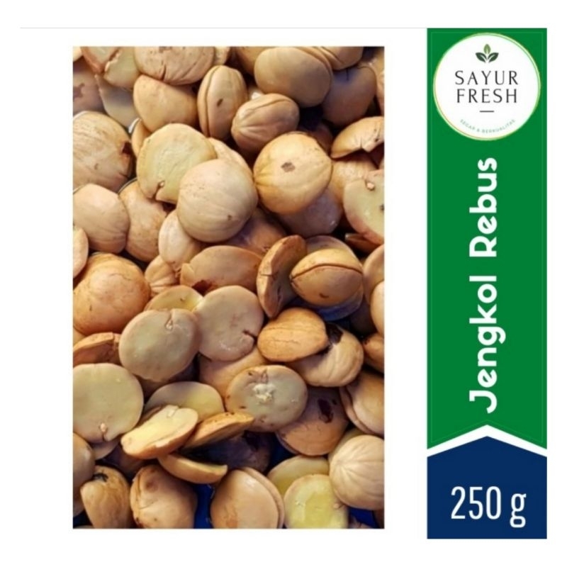 Jual Jengkol rebus | Shopee Indonesia