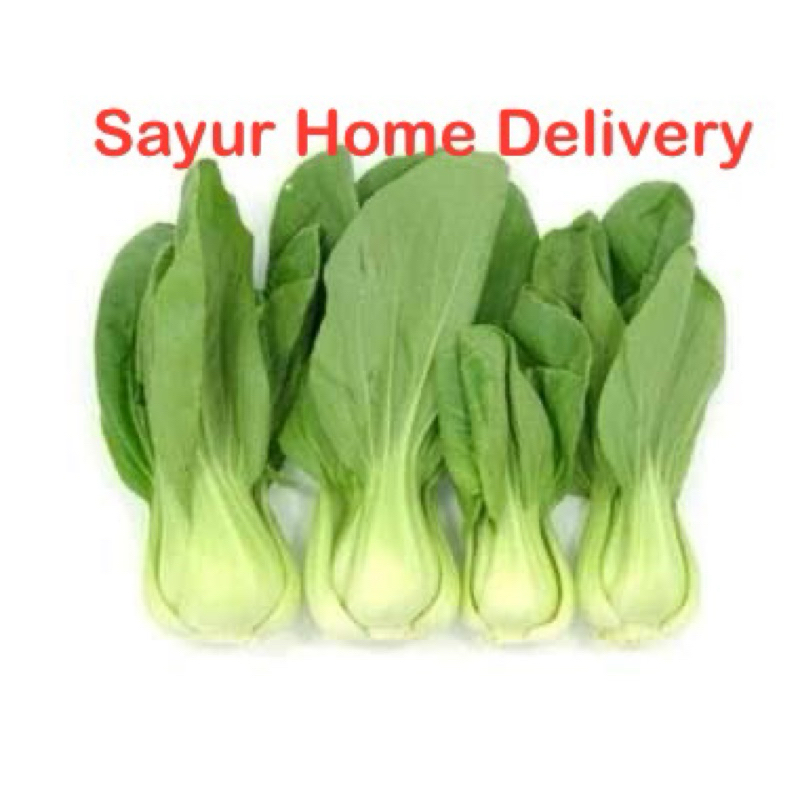 Jual SayurHD Baby Pakcoy / Pakchoy / Pokcoy 100gr Sayur Segar | Shopee ...