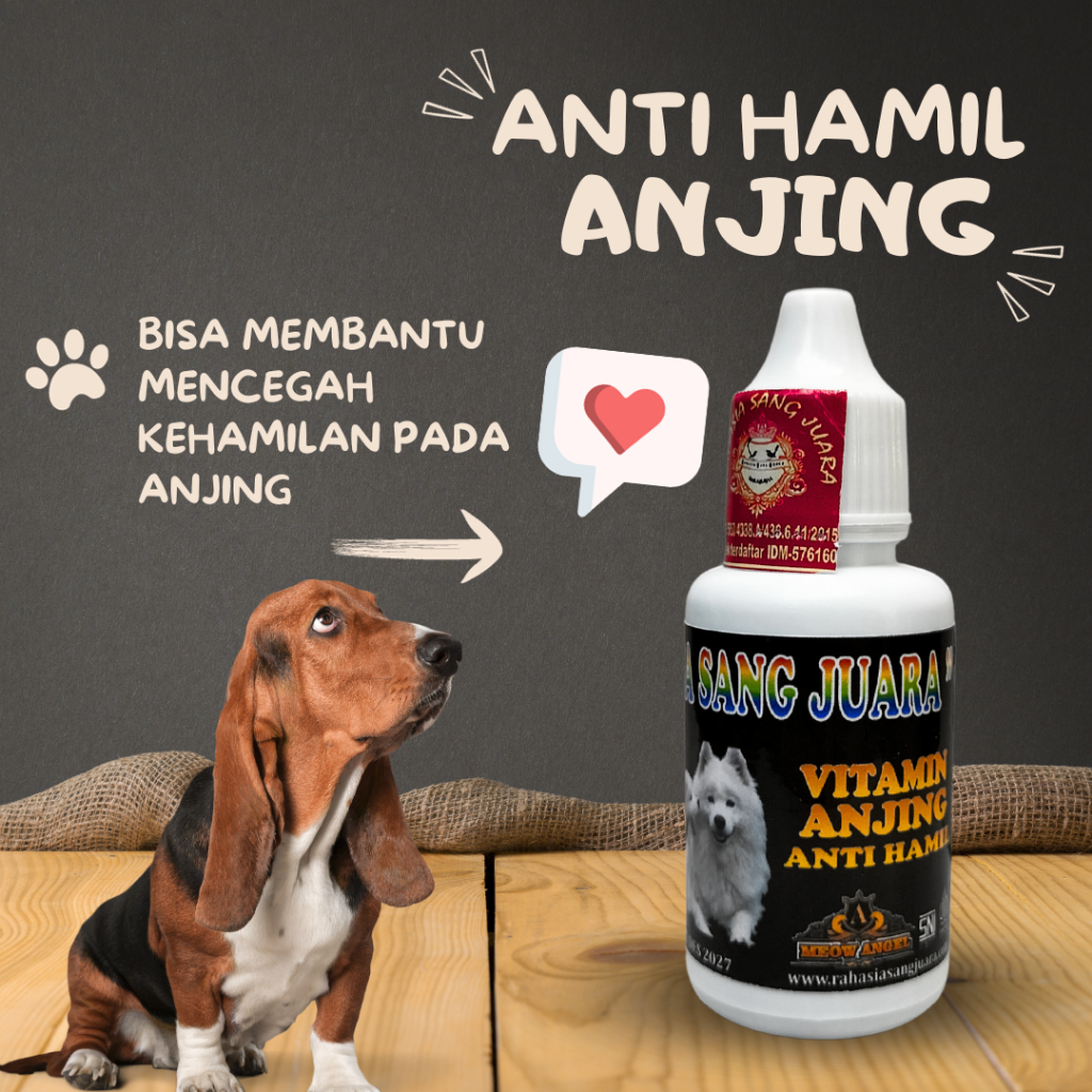 Jual OBAT ANTI HAMIL ANJING | OBAT ANTI KEHAMILAN ANJING AMPUH MENCEGAH ...