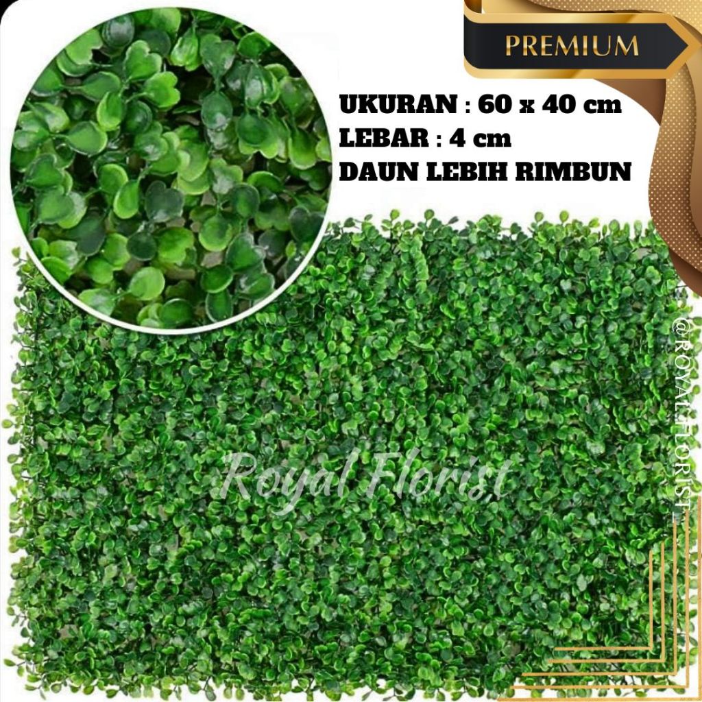 Jual Rumput Dollar Sintetis 60x40/Rumput Oxylia Tebal/Rumput Dinding ...
