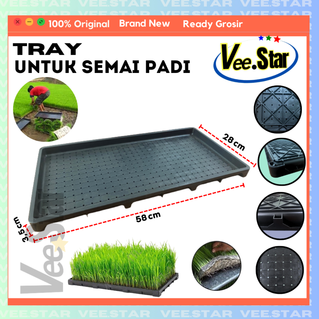 Jual Tray Semai Bibit Padi / Rice Seedling Tray | Shopee Indonesia