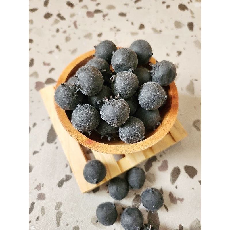Jual 1pcs buah blueberry artificial - blueberry palsu - buah artificial ...