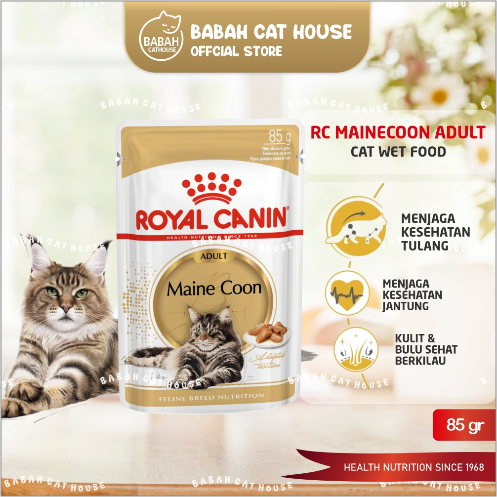 Jual RC MAINE COON PUCH ADULT 85gr Cat Wet Food Royal Canin Makanan ...
