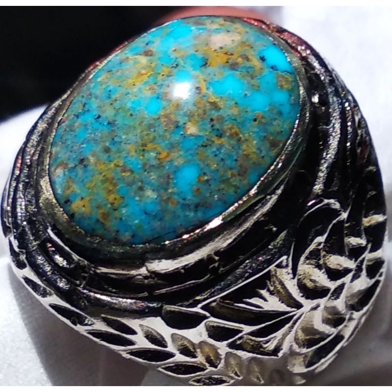 Jual PiRuS Persia (Sesuai Foto) | Shopee Indonesia