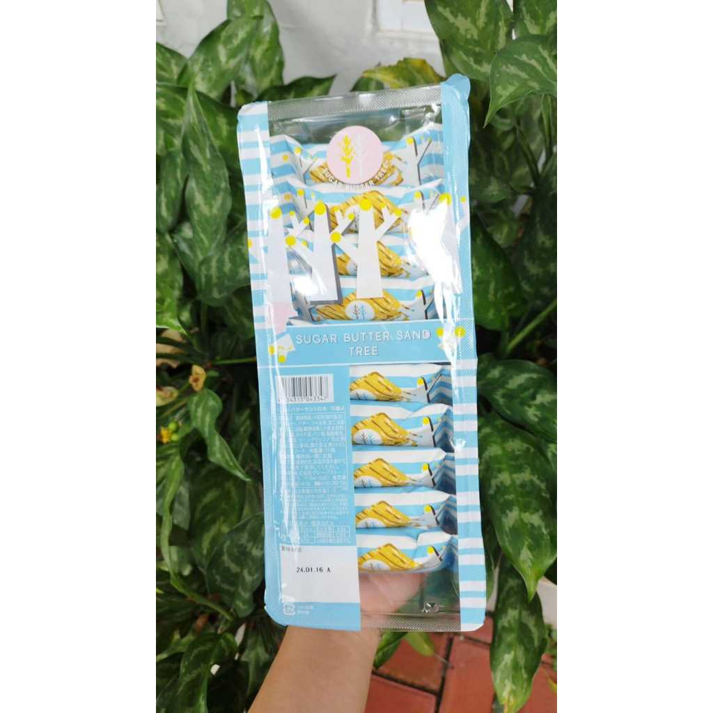 Jual Sugar Butter Sand Tree Original Japan | Shopee Indonesia