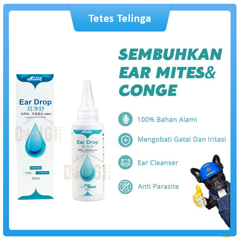 Jual Obat Tetes Telinga Kucing Anjing Ear Mites Kutu dan Infeksi ...