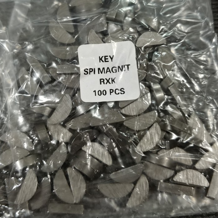 Jual [100 PCS] SPI MAGNET RX KING | Shopee Indonesia