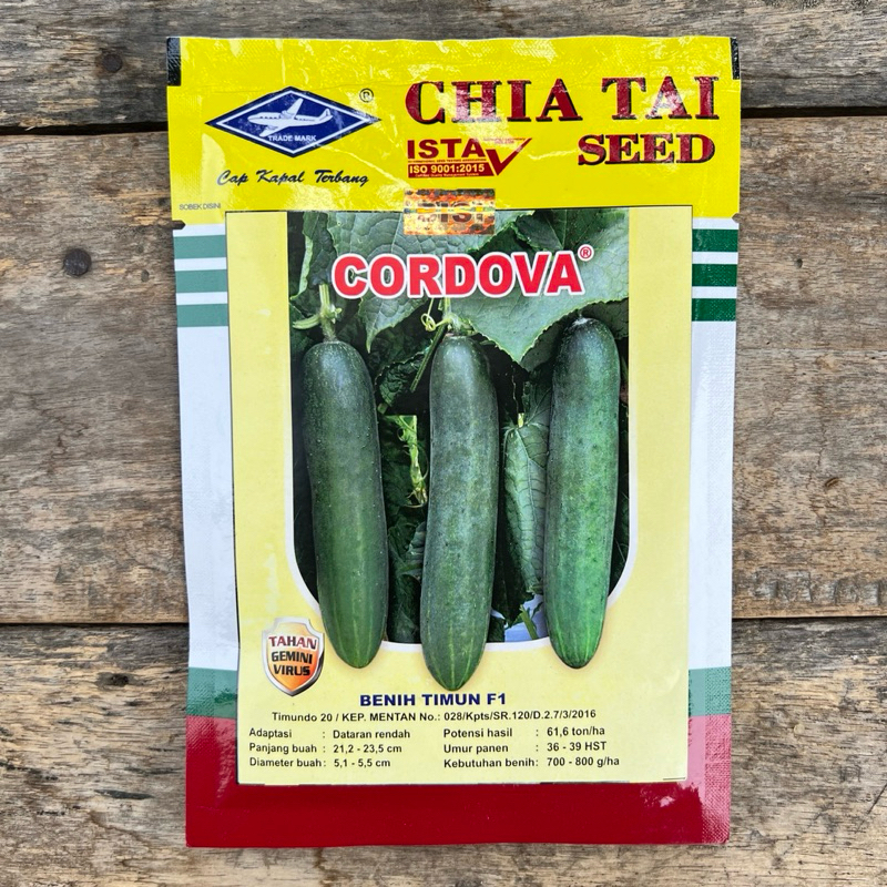 Jual Benih timun cordova bisi cap kapal terbang 20 Gram | Shopee Indonesia