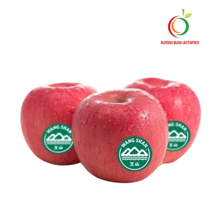 Jual Apel Fuji Wangshan per Pcs. Lebih Merah Lebih Besar. | Shopee ...