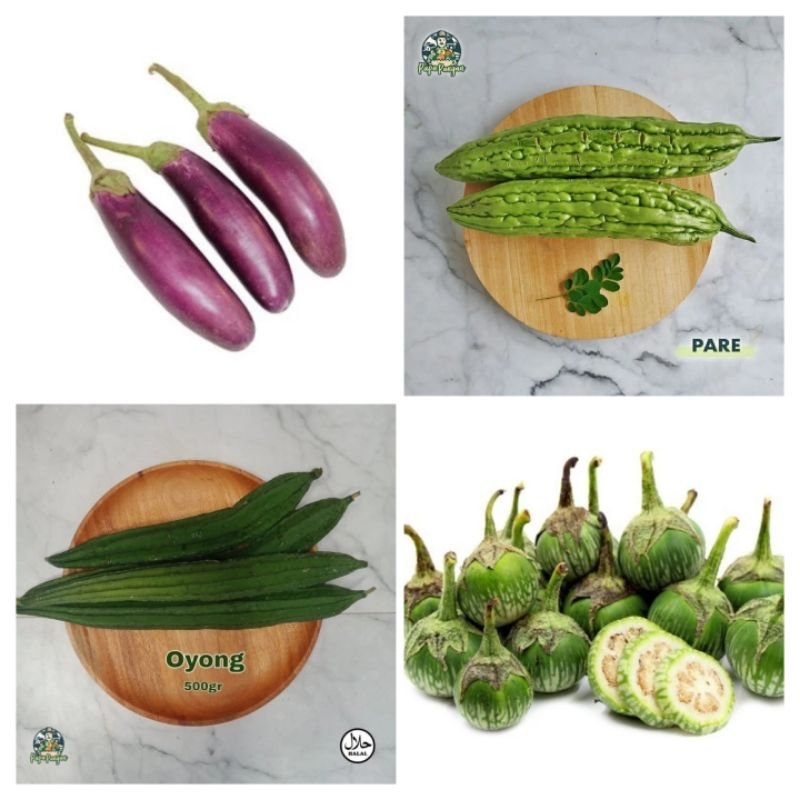 Jual Terong Ungu | Terong Bulat | Oyong | Pare 500 gram | Shopee Indonesia