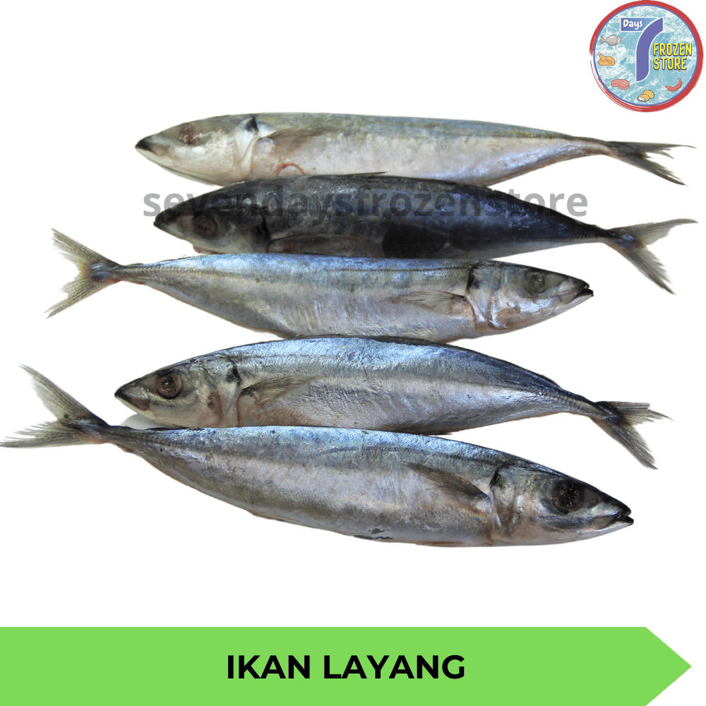 Jual Ikan Layang Frozen Beku Halal Kemasan 800 - 900 Gr | Shopee Indonesia
