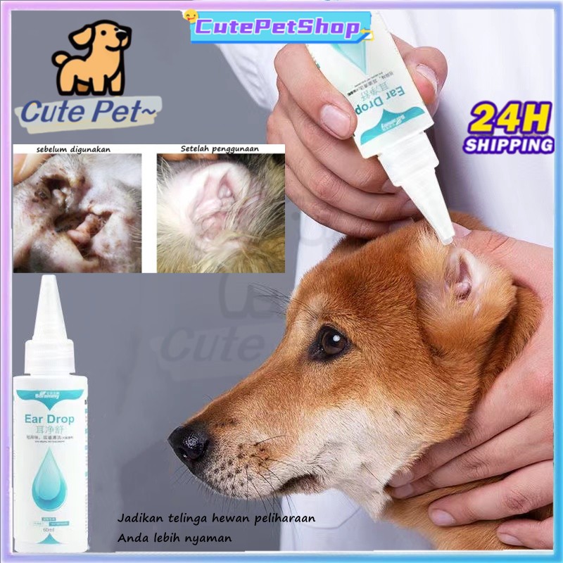 Jual Obat Tetes Telinga Kucing Anjing Ear Mites Kutu dan Infeksi ...