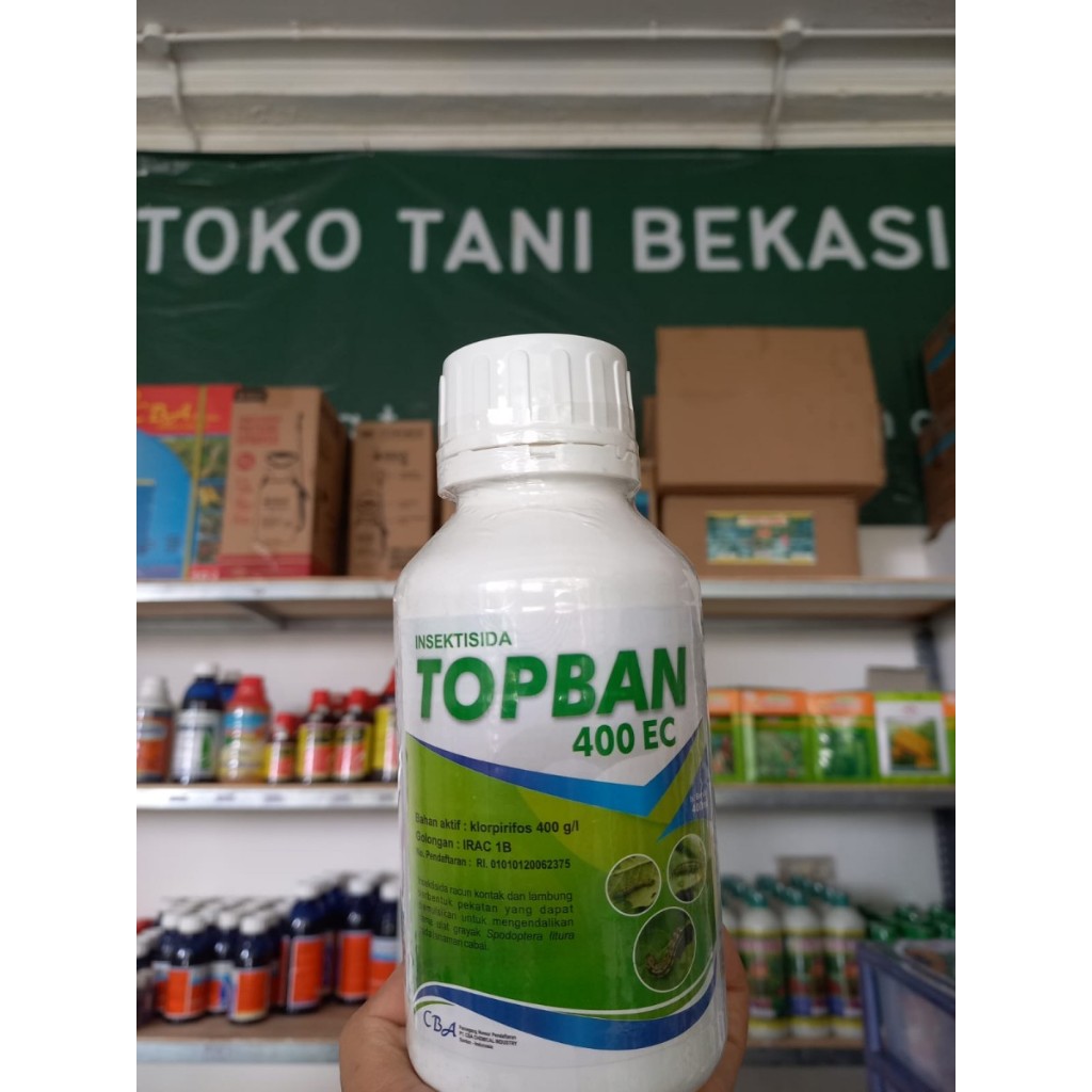 Jual insektisida dursban 400EC 500ml | Shopee Indonesia