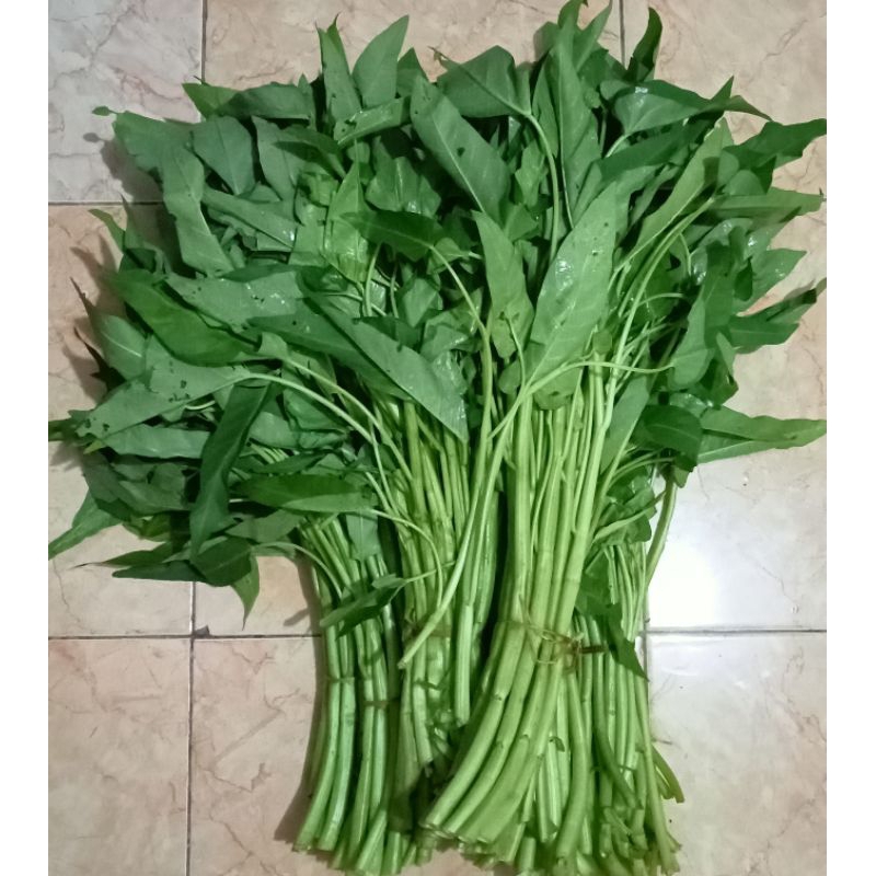Jual Kangkung sayur bandung | Shopee Indonesia