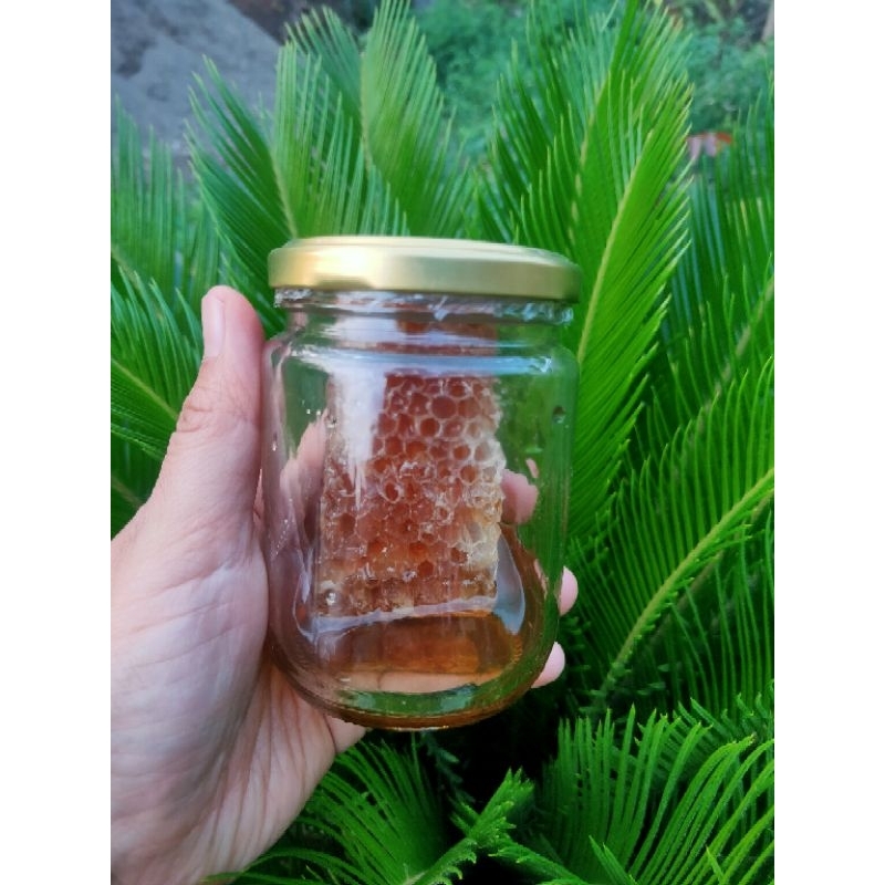 Jual MADU SARANG MURNI/ MADU LEBAH MALIFERA JAR( Netto 100 GR) | Shopee ...