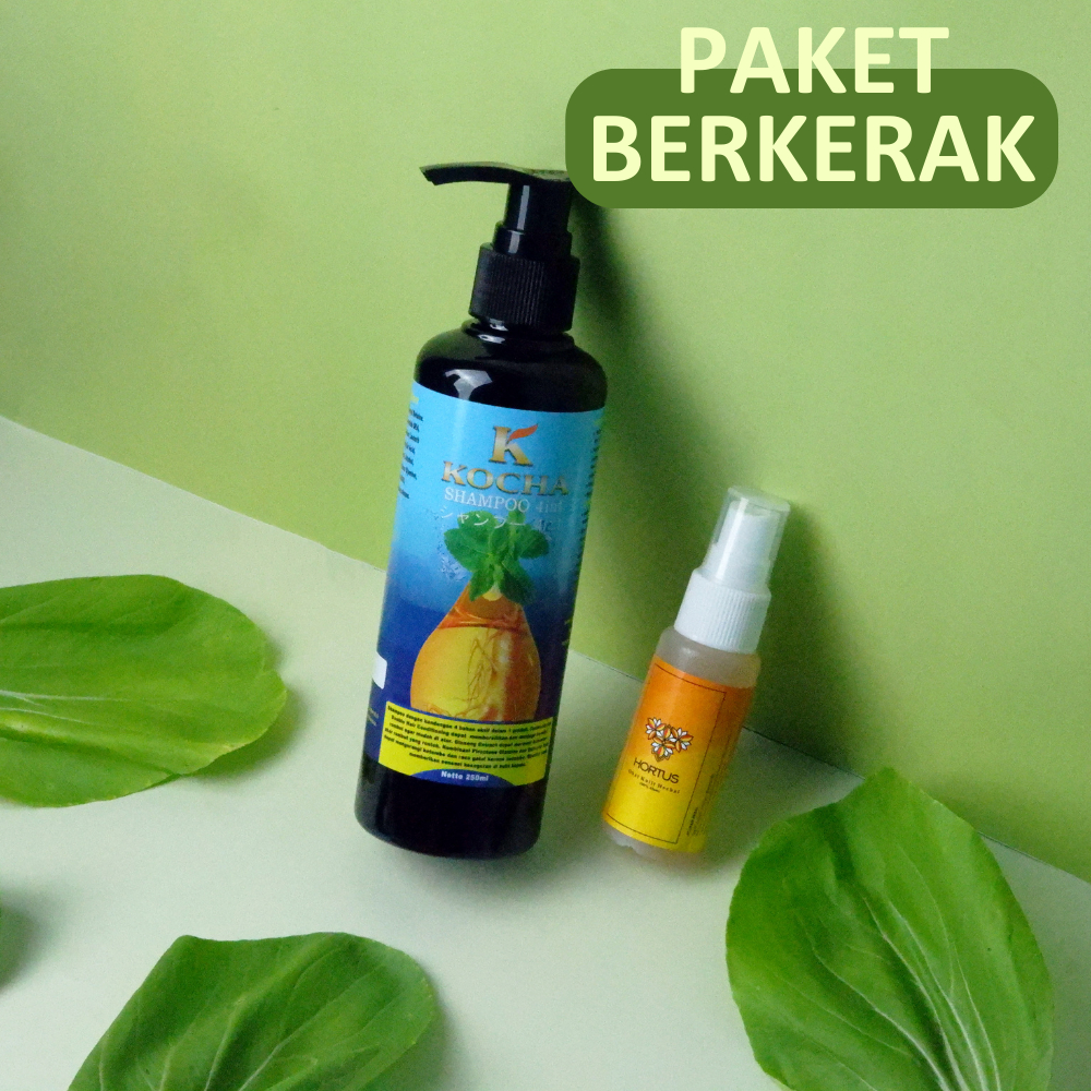 Jual kocha shampoo anti ketombe dan rambut rontok kulit kepala berkerak kering | Shopee Indonesia