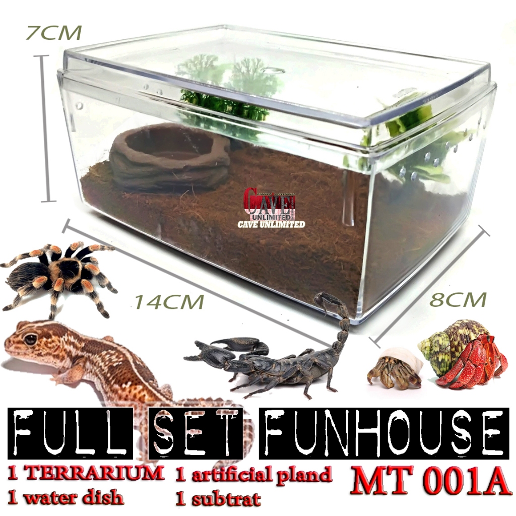 Jual MT001A FUNHOUSE FULL SET KANDANG GECKO KELOMANG KEONG TARANTULA ...