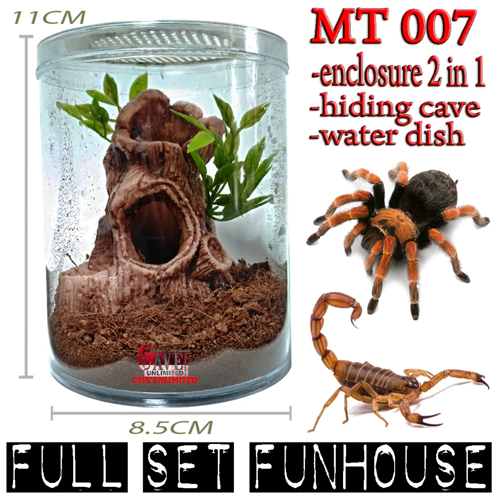 Jual MT007 FULL SET FUN HOUSE ENCLOSURE MINI + HIDING CAVE WATER DISH ...