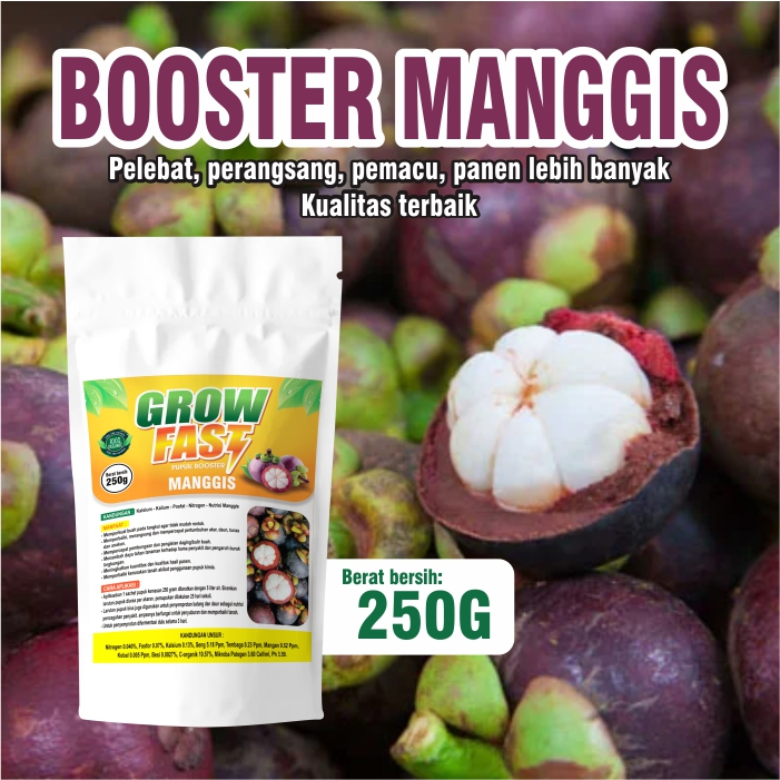 Jual Pupuk Booster Manggis (250gr) I pupuk organik pelebat tanaman I pupuk organik perangsang ...