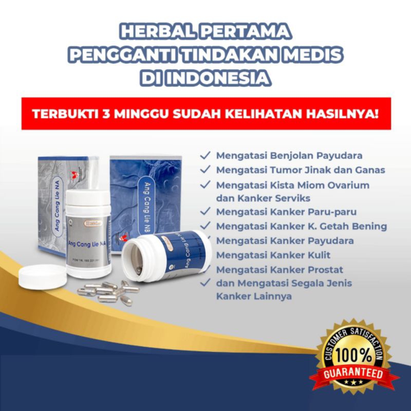 Jual Ang cang lie NA Obat herbal kanker kemoterapi tumor kista benjolan ...