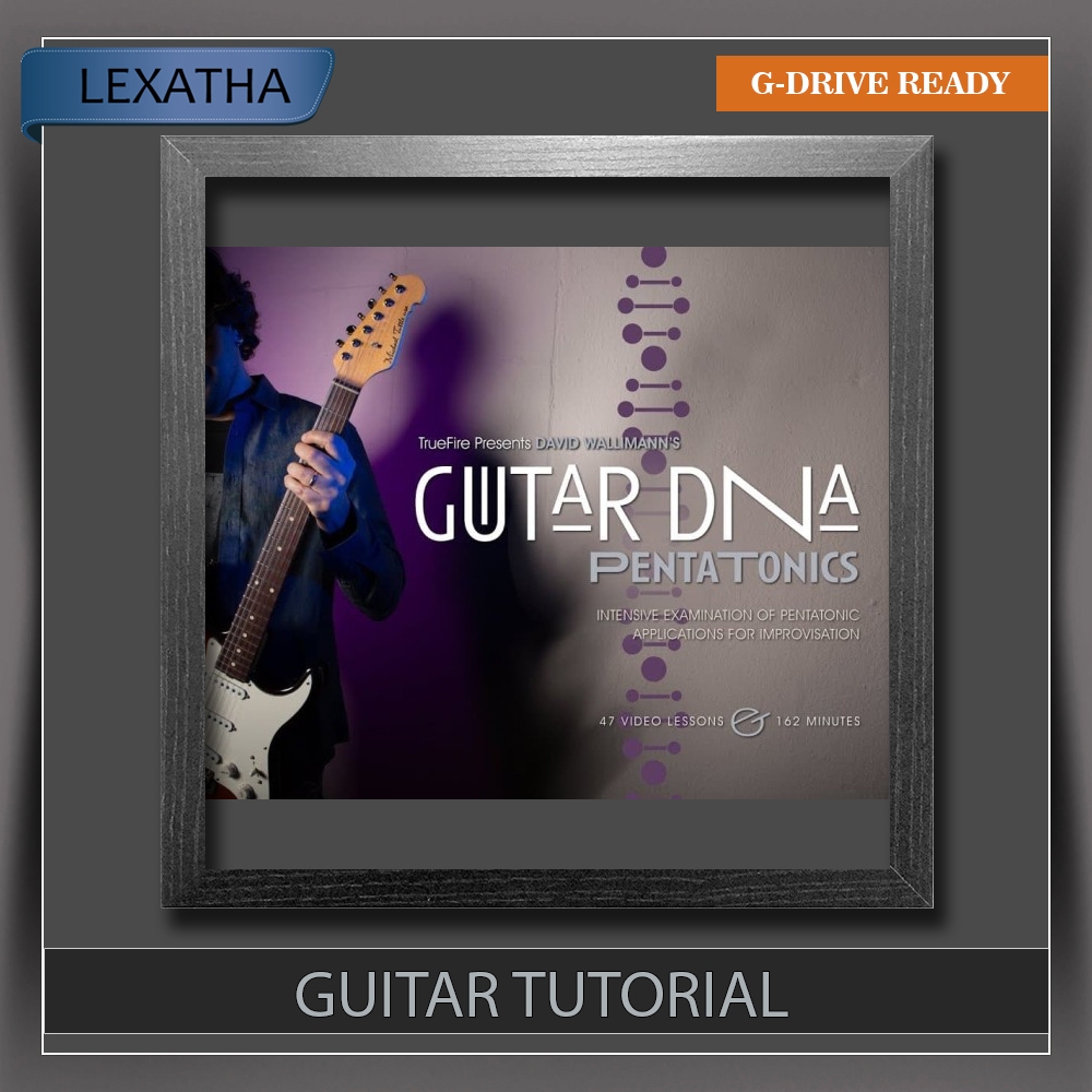 Jual David wallmann Guitar DNA Pentatonics | Shopee Indonesia