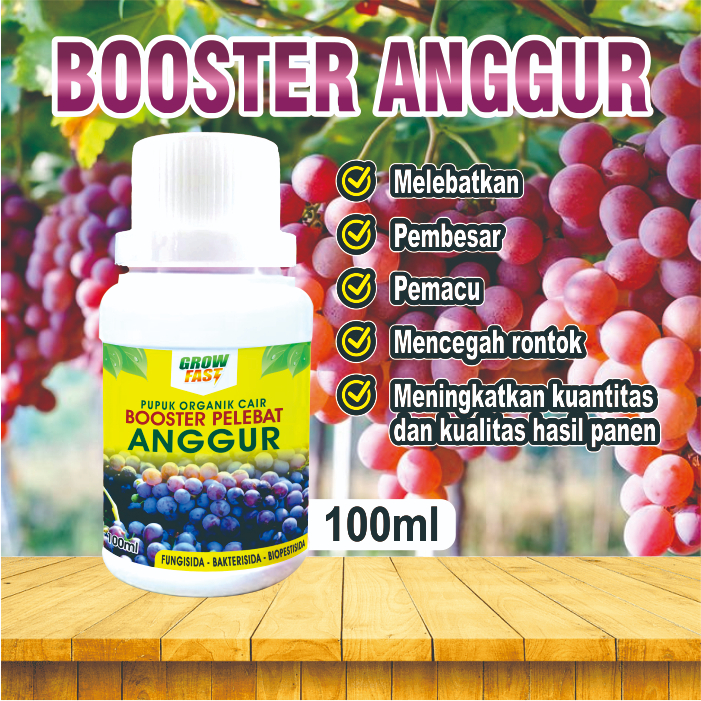 Jual Pupuk Booster Anggur 100ml pupuk pelebat daun dan anggur organik ...