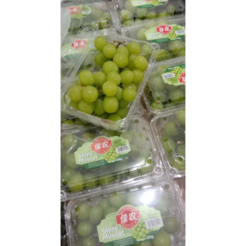 Jual Anggur Muscat Hijau 500gr | Shopee Indonesia