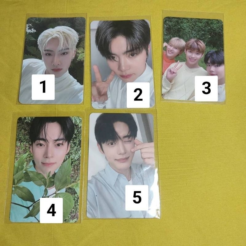 Jual Photocard PC Zerobaseone ZB1 ALBUM YITS Youth In The Shade Bring Green China Ricky Gunwook ...