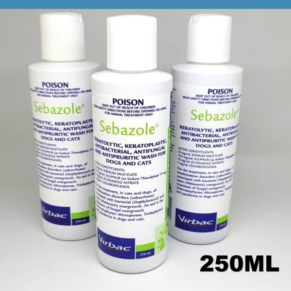 Jual SEBAZOLE ANTI FUNGAL DOG CAT SHAMPOO 250ML/ SHAMPO KUCING ANJING ...