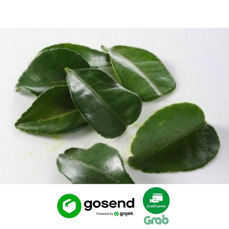 Jual DAUN JERUK (50 GRAM) | Shopee Indonesia
