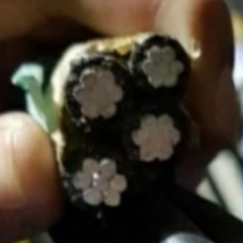 Jual kabel twist 4x16mm NFA2X kabel udara alumunium Merindo 4x16 ...