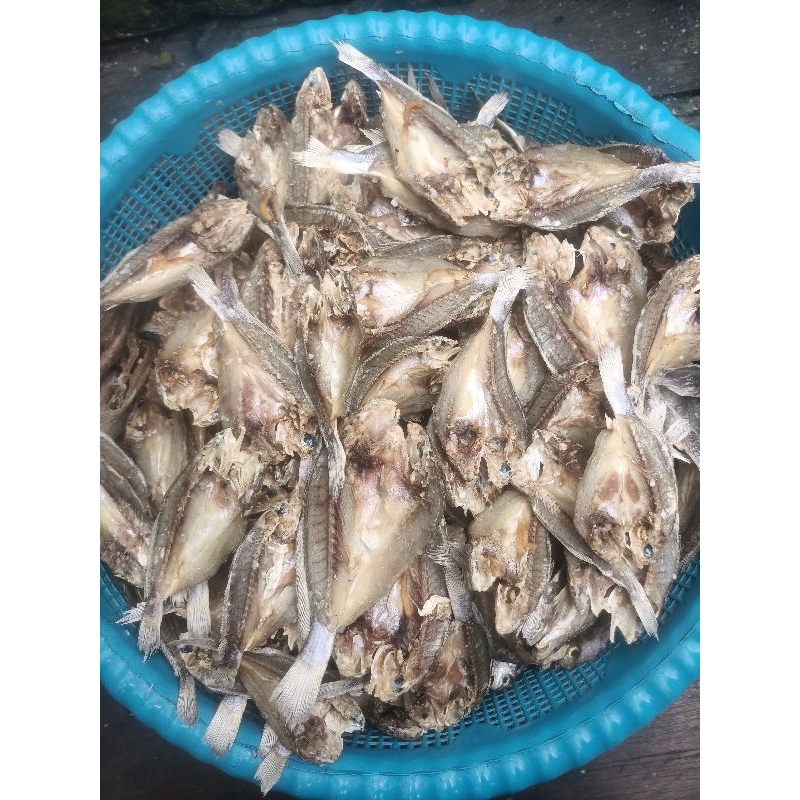 Jual Ikan Asin Gulama/Kepala Batu Belah 500gr | Shopee Indonesia