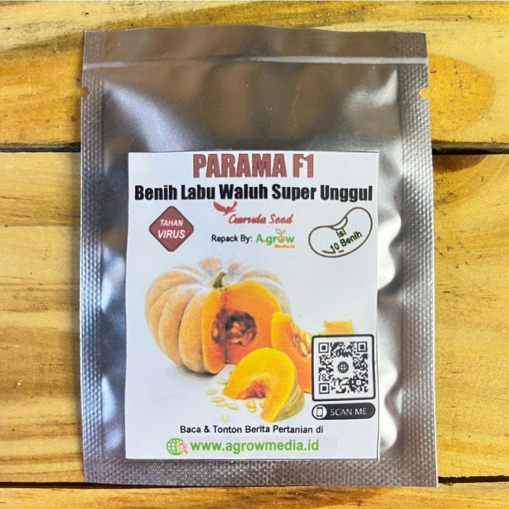 Jual 10 Benih Labu Waluh Kuning PARAMA F1 Bibit Biji Super Unggul Tahan ...
