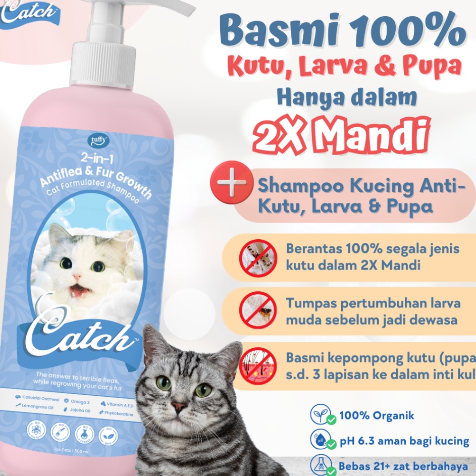 Jual Catch - Shampoo Kucing Anti Kutu , Larva, dan Pupa - Cukup 2x ...