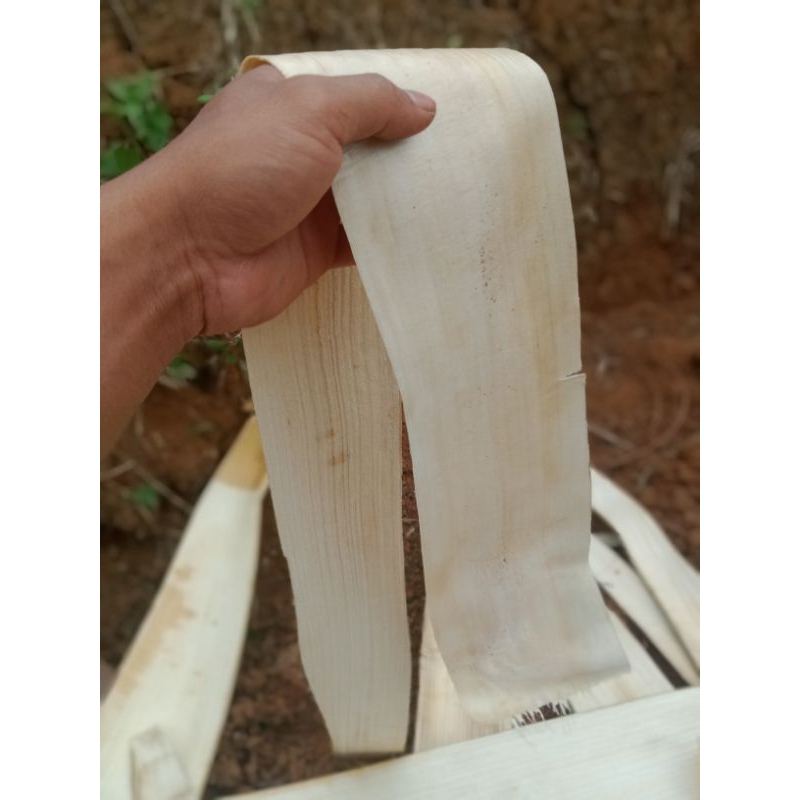 Jual pelepah pinang/1pelepah | Shopee Indonesia