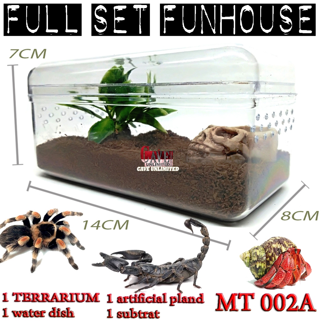 Jual MT002A FUN HOUSE FUL SET KANDANG TERRESTRIAL INSECTA TARANTULA ...