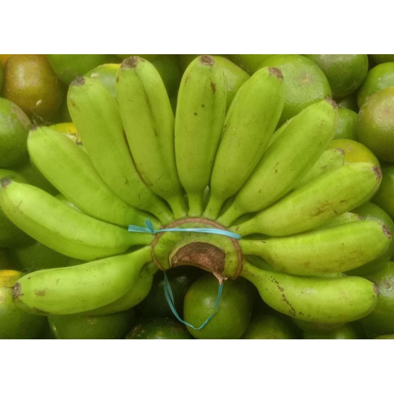 Jual pisang mas/pisang baby/pisang manis | Shopee Indonesia