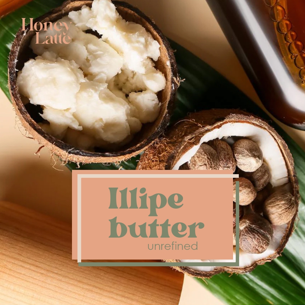 Jual Illipe Butter Pure Natural Body Lotion Alami | Shopee Indonesia