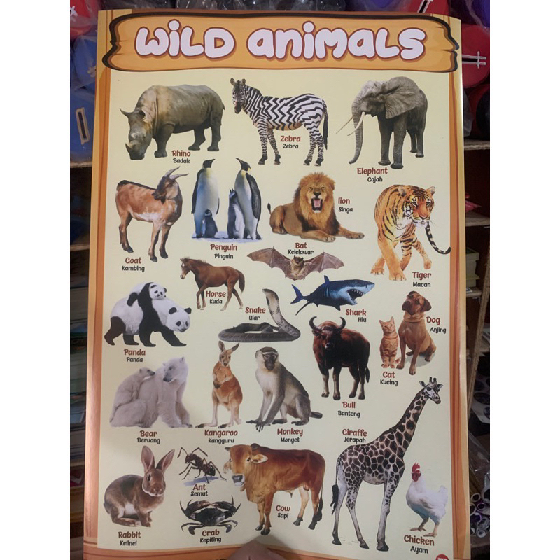 Jual poster dinding edukasi abjad huruf angka animals / gambar edukasi ...