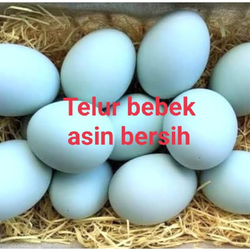 Jual Produk Telur Pontianak | Shopee Indonesia