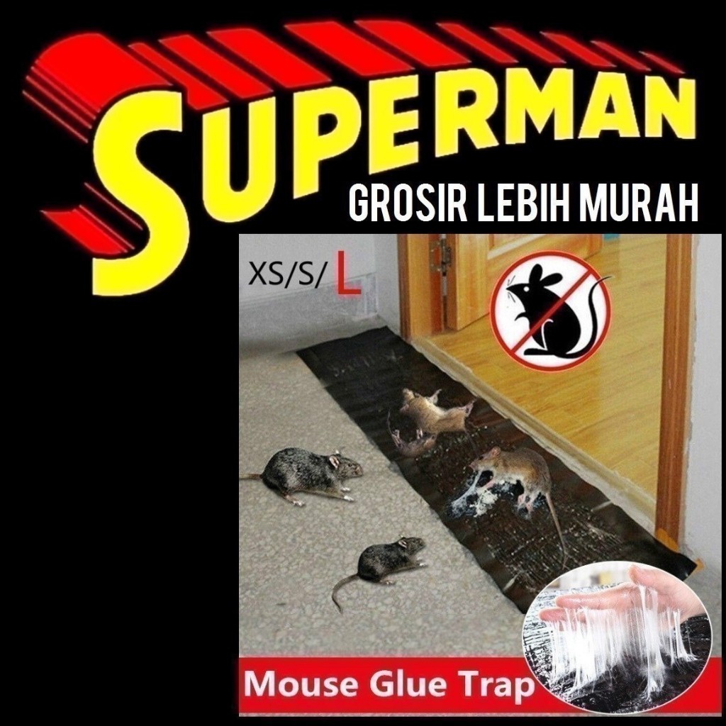 Jual (16N) KARPET TIKUS 60X27CM 60 x 27 cm lem perangkap tikus jebakan ...