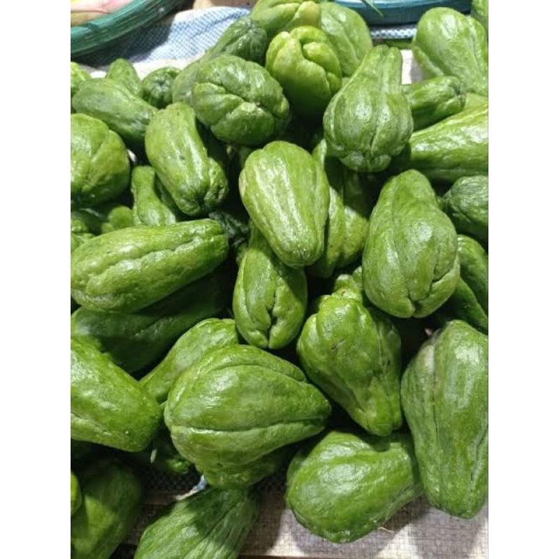 Jual Labu Siam besar | Shopee Indonesia