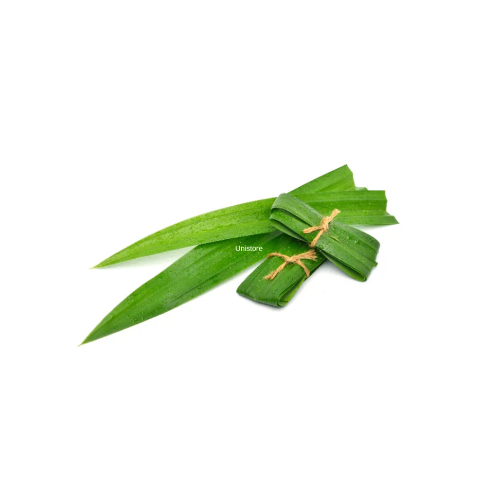 Jual Daun Pandan Wangi Segar 500 Gram | Shopee Indonesia