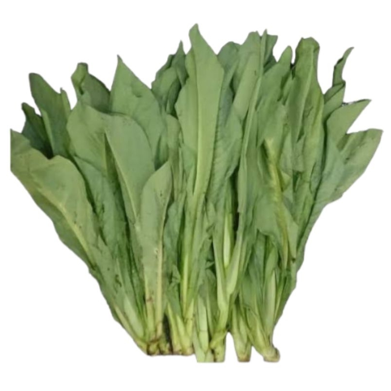 Jual sayur fumak 500 gram | Shopee Indonesia