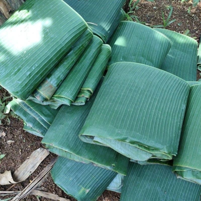 Jual Daun Pisang Segar 1kg Shopee Indonesia