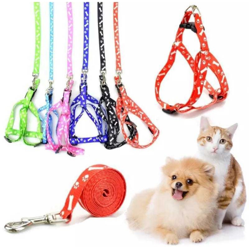 Jual Harness Kucing Tali Tuntun Kucing Kelinci Y Kalung Tuntun Kucing ...