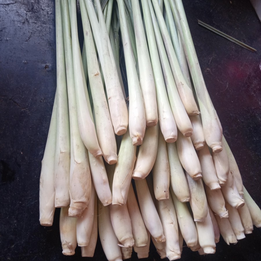 Jual serei sayur / sereh sayur 100gram bumbu masak | Shopee Indonesia