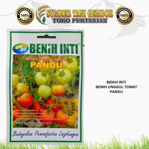 Jual BENIH INTI benih unggul tomat PANDU Isi bersih : 150 biji | Shopee ...