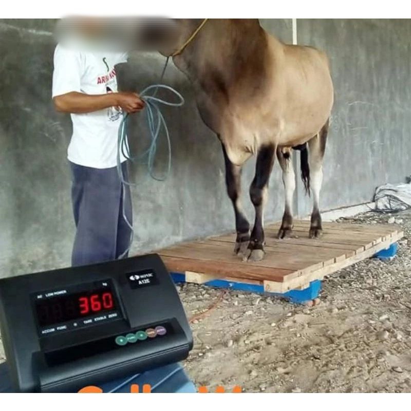 Jual #TIMBANGAN DIGITAL #Universal #Kekuatan MAXIMAL 2 TON #MEREK WAZN ...