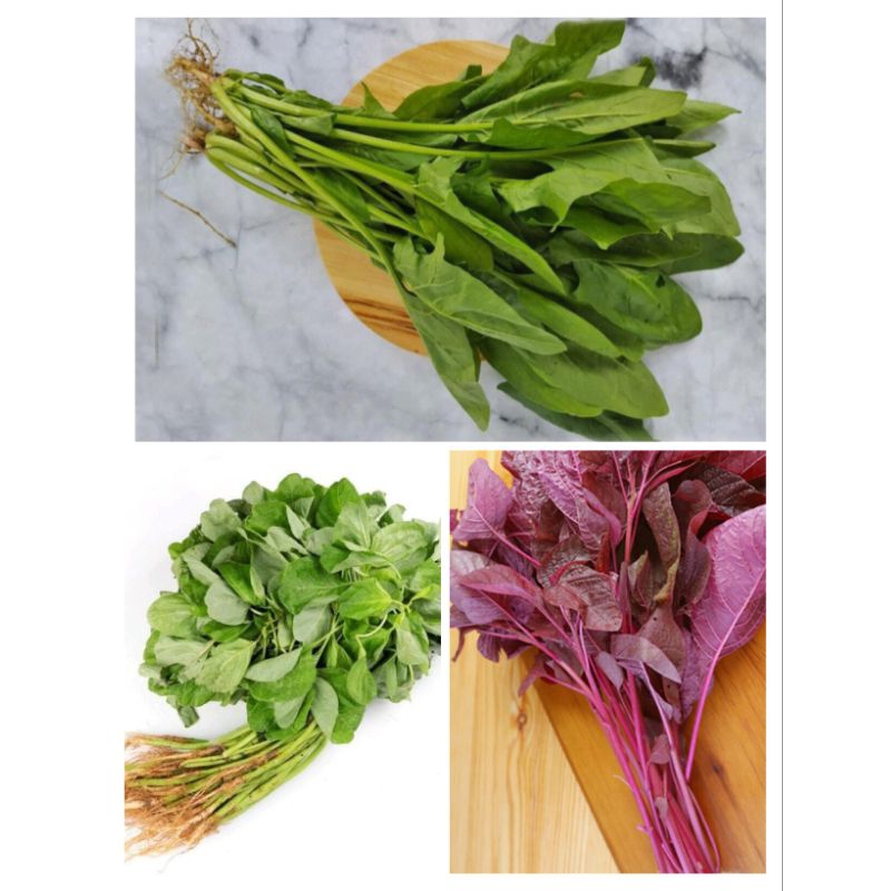 Jual Bayam Hijau | Bayam Merah | Horenzo Horenso 200 gram | Shopee ...